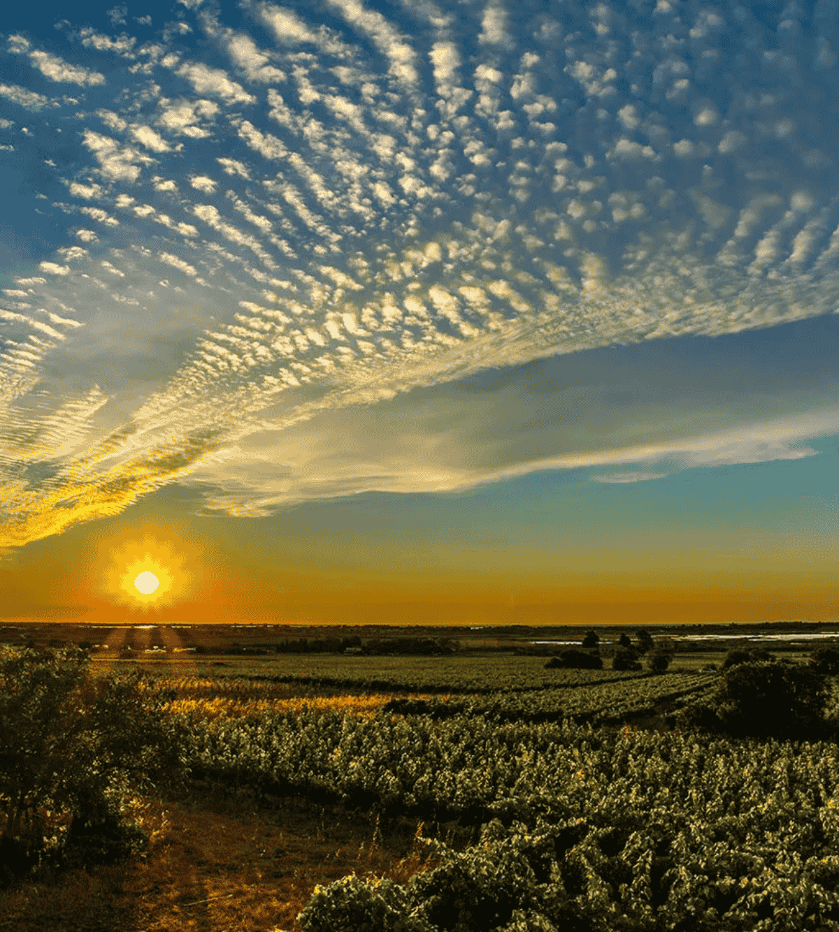 Constructeur de maisons depuis 1999, Maisons Stéphane Berger